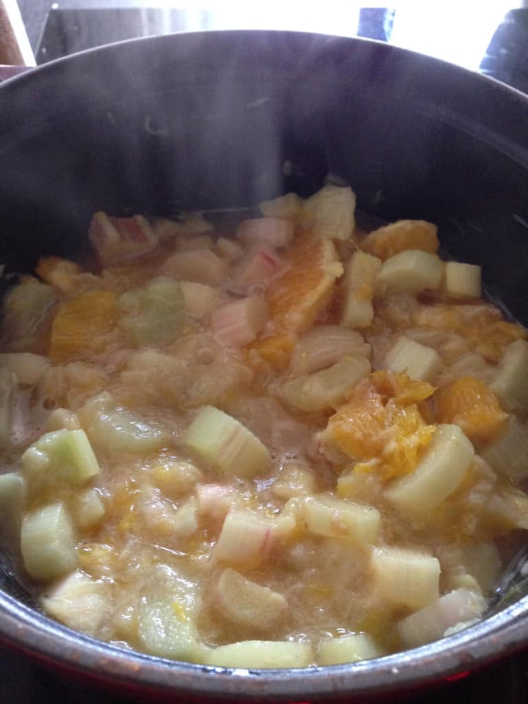 Rabarbermoes - Elien's Cuisine