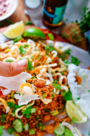 Spring Roll dip - Elien's Cuisine